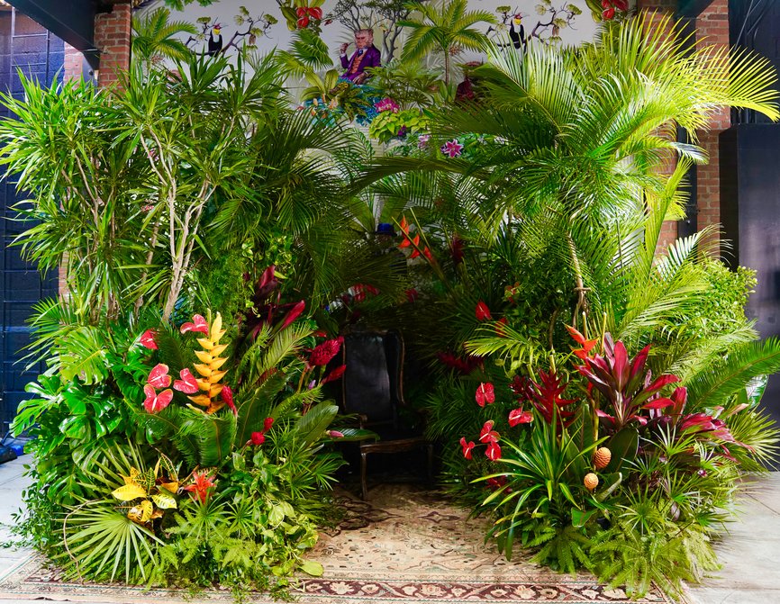 ANGEL SALAZAR DESIGN